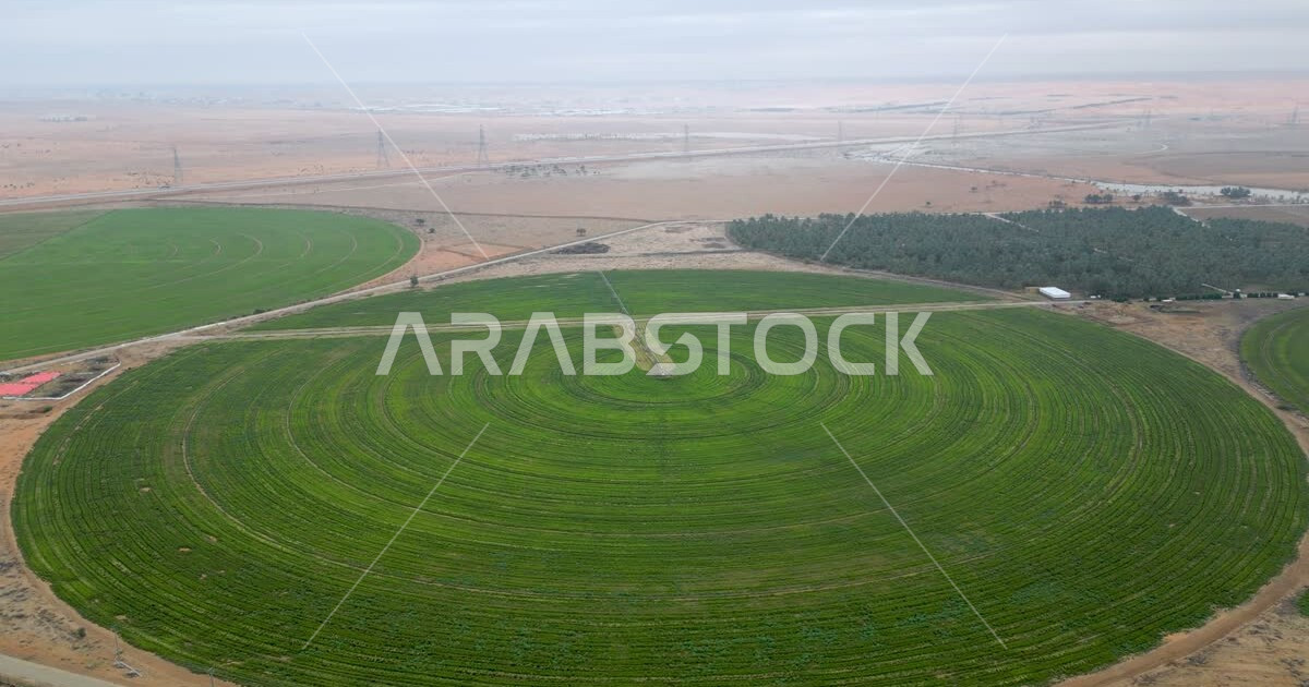 Agricultural crops and local national products, attention to green ...