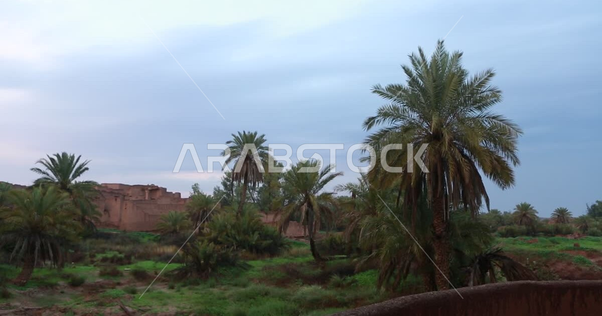 The concept of afforestation and increasing green spaces in Al-Shaqra ...