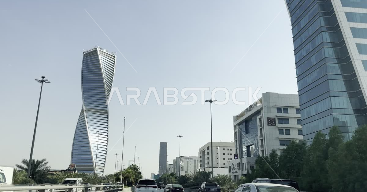 Tigers and urban development in Saudi Arabia, buildings and residential ...