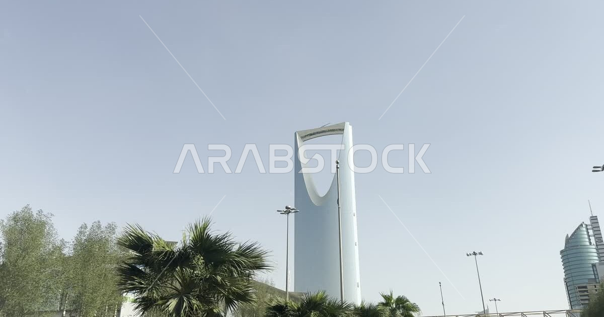 Interest in afforestation and palm planting, skyscrapers and ...
