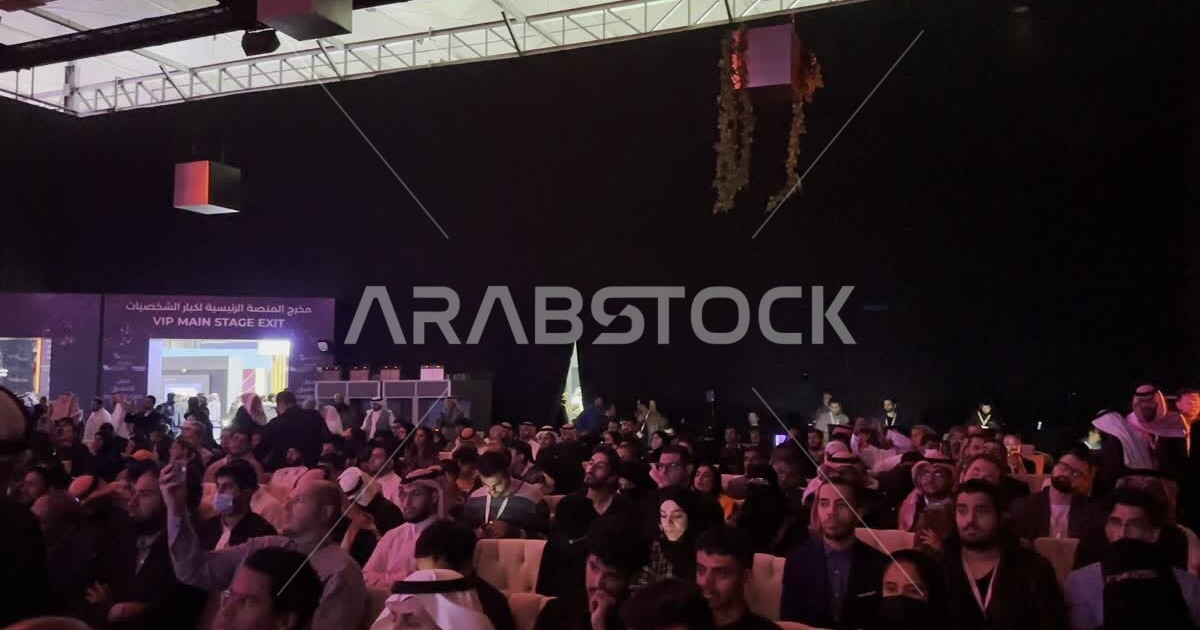 Towards new horizons for exploring the Internet in Saudi Arabia, a ...