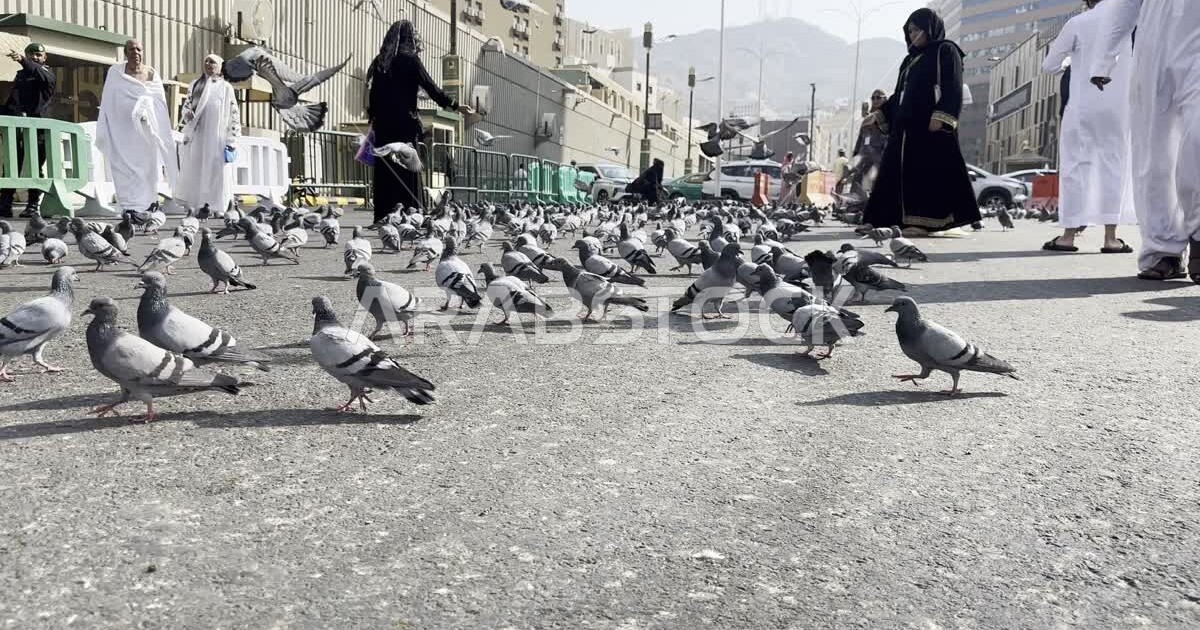 Sacred Islamic religious places and landmarks, towers and hotels ...