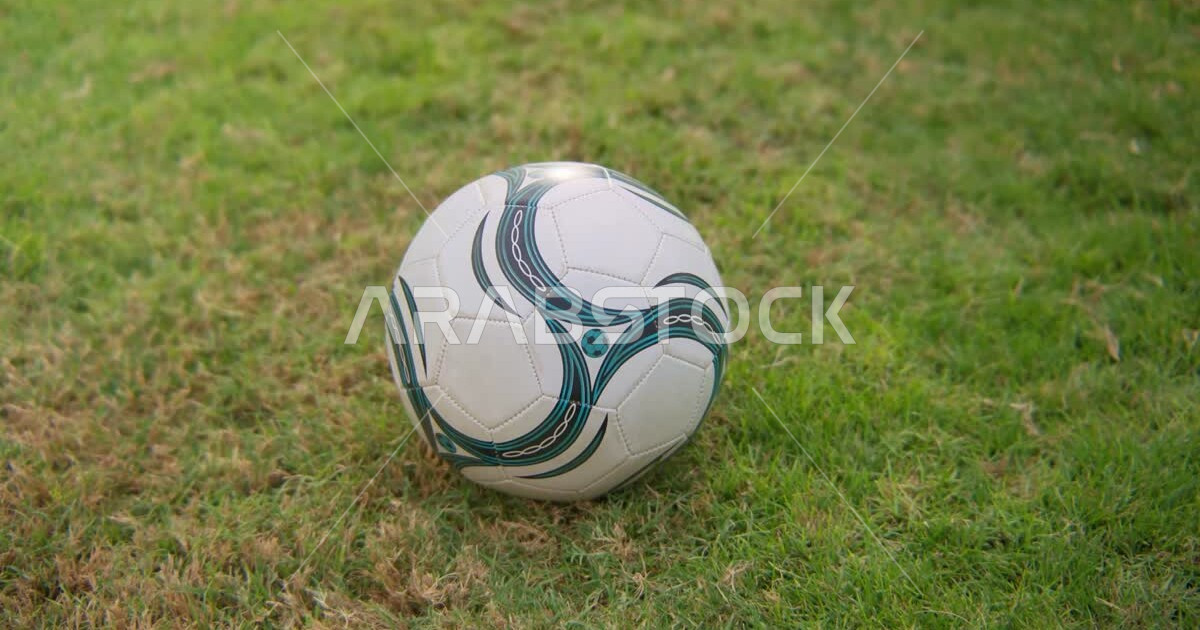 Playing with the ball in public parks and gardens, youth sports and ...