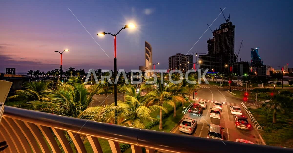 Interest in afforestation and agriculture in Saudi Arabia, urban ...