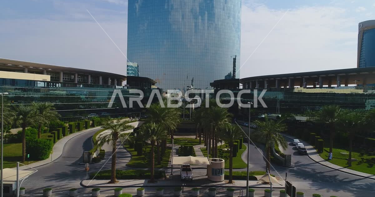 Interest in afforestation and agriculture in Saudi Arabia, commercial ...