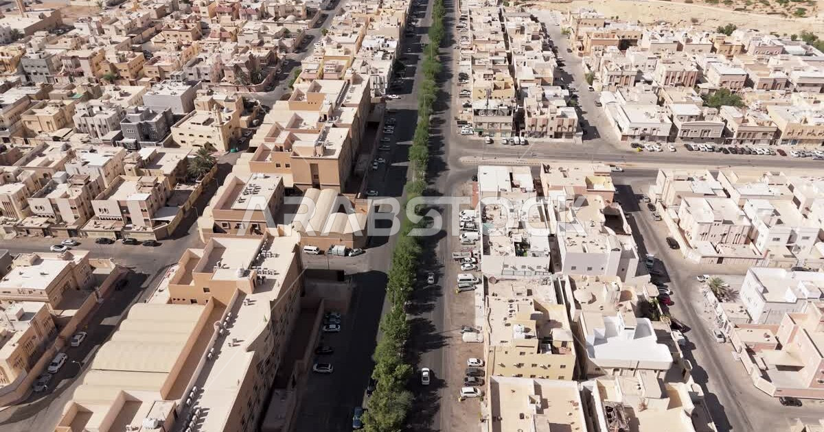 Interest in planting green trees in cities, drone photography of the ...