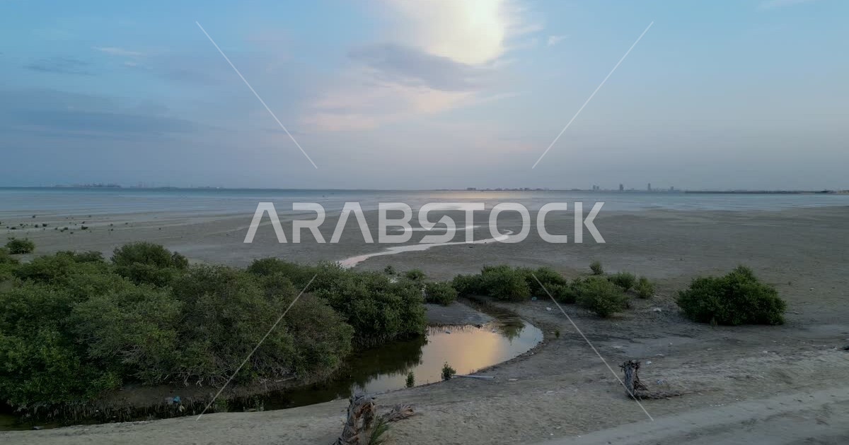 Natural view and calm sea in the Kingdom of Saudi Arabia, drone ...