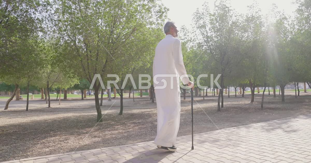Enjoyable scenery and green nature in Saudi Arabia, hiking and walking ...