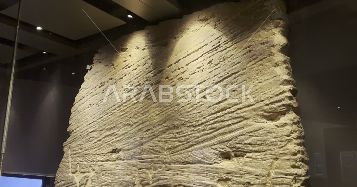 Rare archaeological stone pieces in the historic Salwa Palace Museum ...