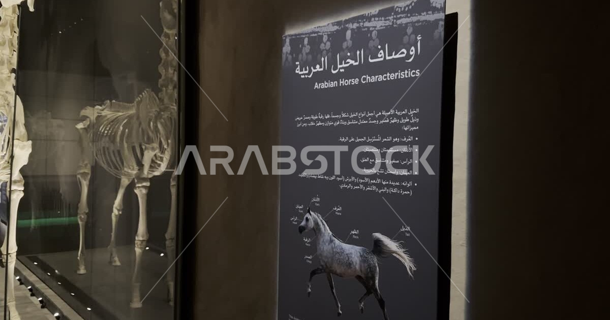 An information board with descriptions of the Arabian horse at the ...