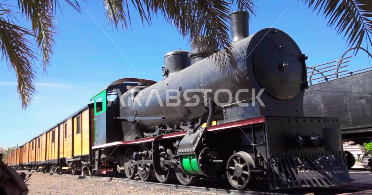 Ancient and archaeological means of transportation in the Kingdom of ...