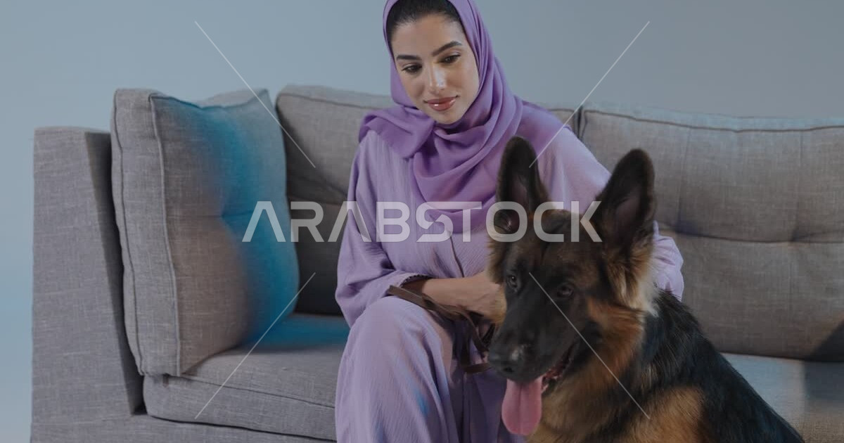 Spending enjoyable times with pets, the concept of protection and ...