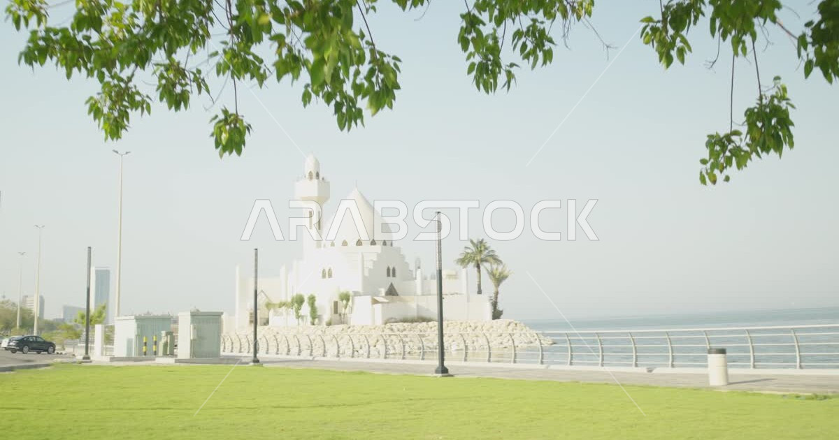 Interest in planting trees and green plants in the Kingdom of Saudi ...