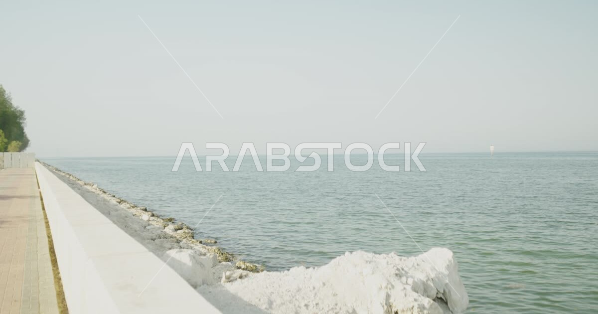 Trees and green plants, aerial photography of the Al-Khobar Corniche ...