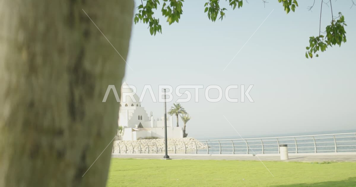 Planting trees and green plants in the Kingdom of Saudi Arabia ...