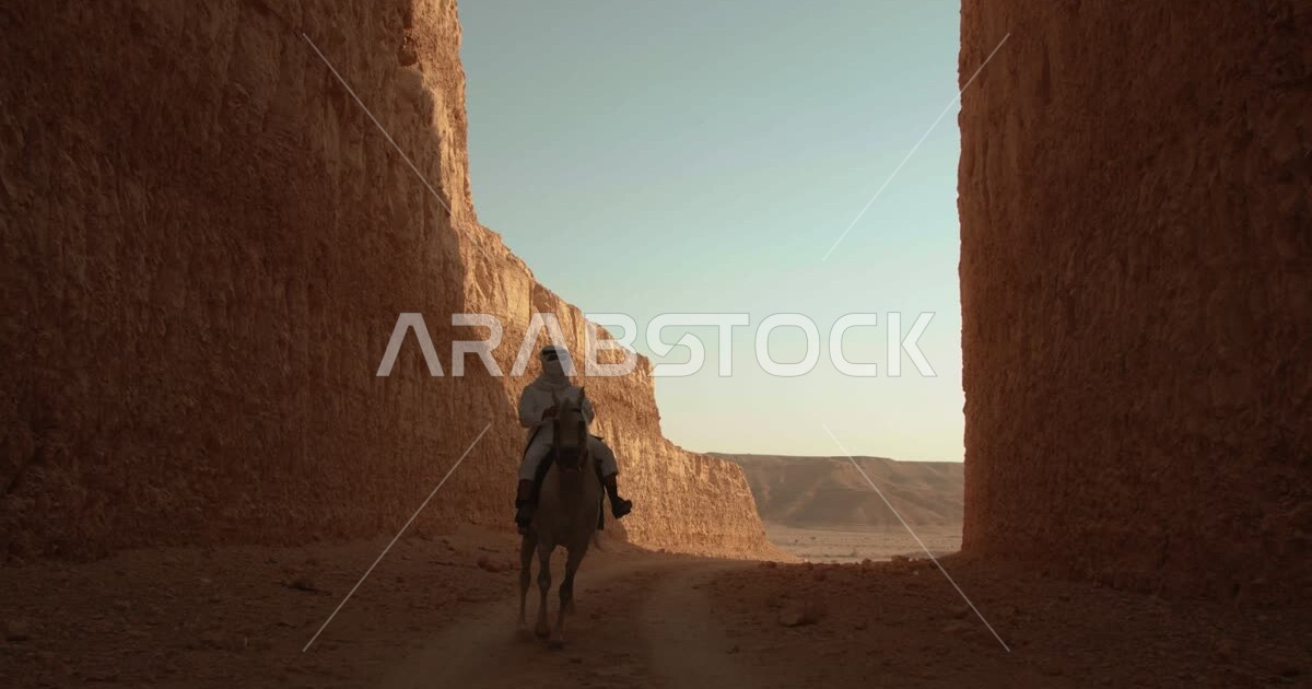 Love and passion for equestrianism, a young Saudi Arabian Gulf man ...