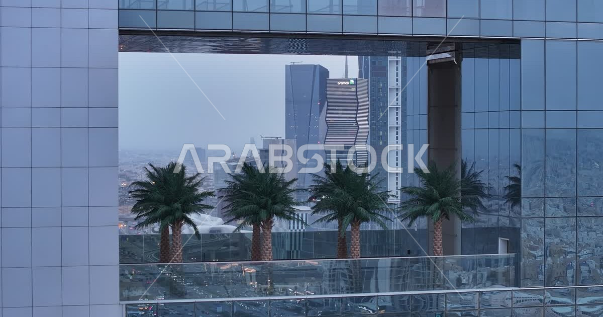 Planting palm trees and increasing the green space in Saudi lands ...