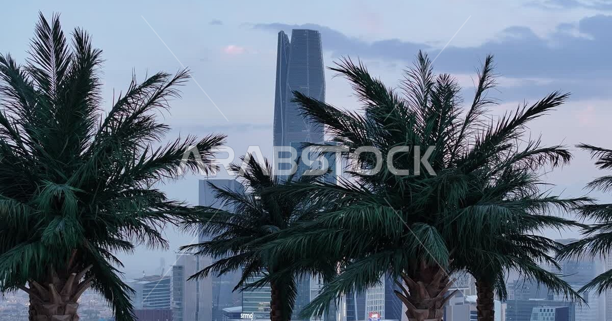 The concept of afforestation and increasing the green spot in Saudi ...