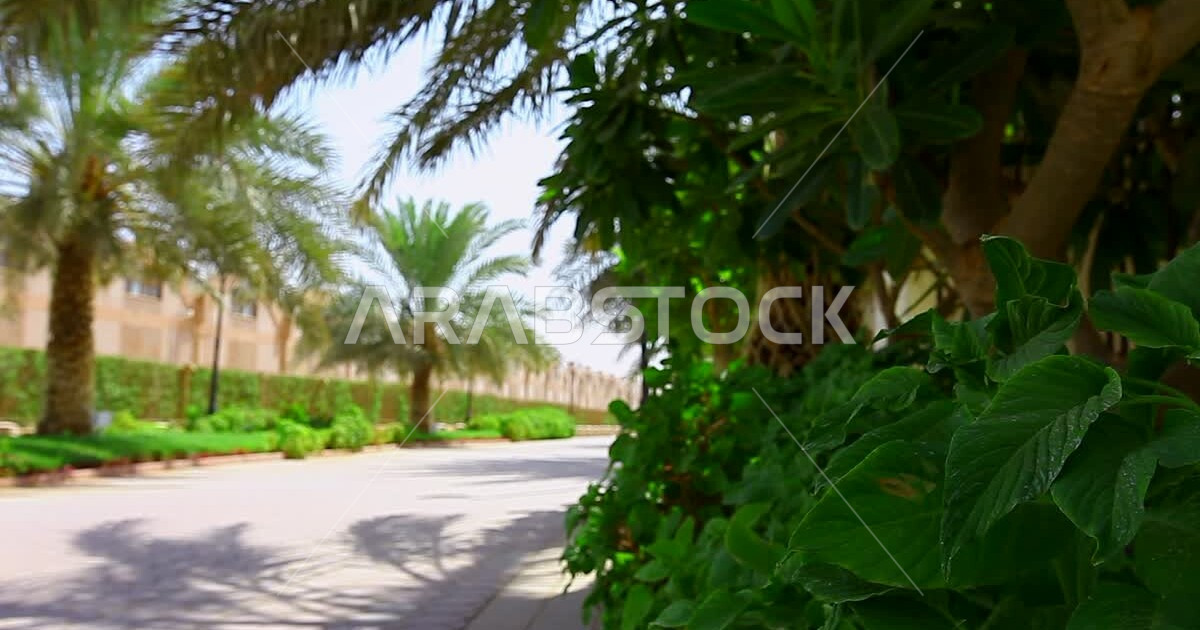 Famous tourist attractions, King Abdullah Walk area in Riyadh, green ...