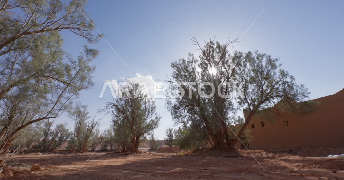Nature and trees in Sudair Governorate in the city of Riyadh, old walls ...
