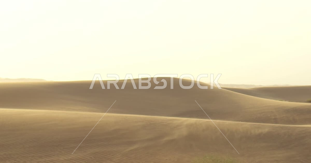 Golden sand dunes in the Arabian deserts, natural tourist places in the ...