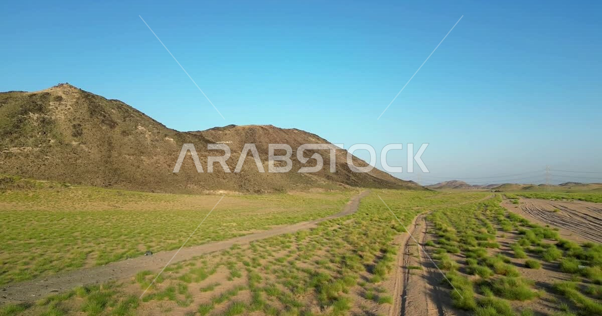 Sandy plateaus and highlands, the greenness of prairies and deserts in ...