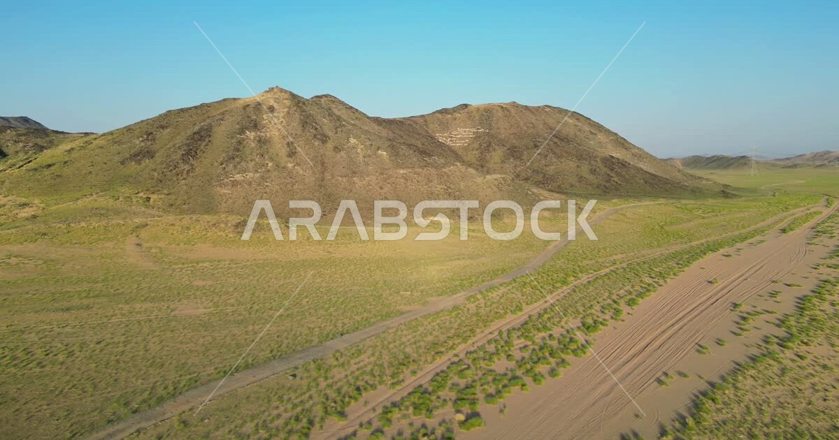 The transformation of sandy lands into natural green lands, the ...