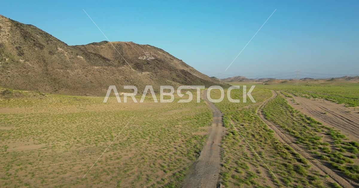 The greenness of prairies and deserts in the winter, sandy lands turn ...