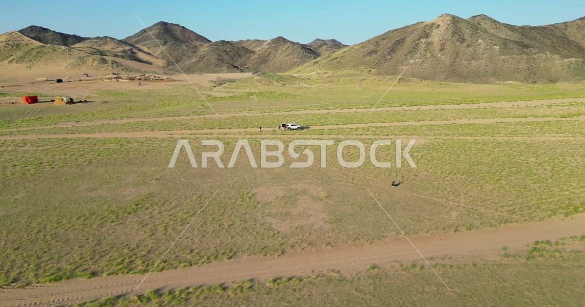 Recreational tourist trips, the greenness of prairies and deserts in ...