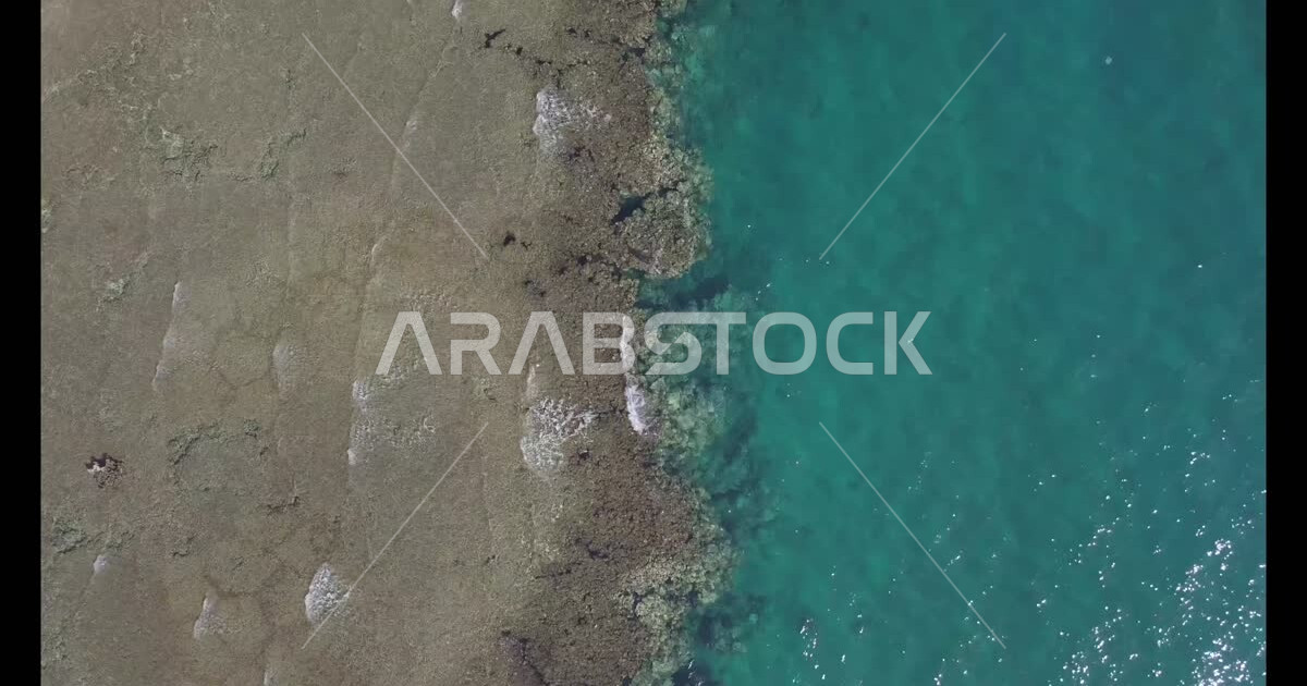 Deep sea diving, vertical drone photography of coral reefs in the ...