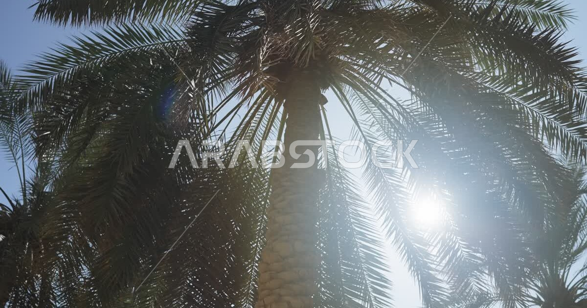 Local national products and crops, natural tourist places during the ...