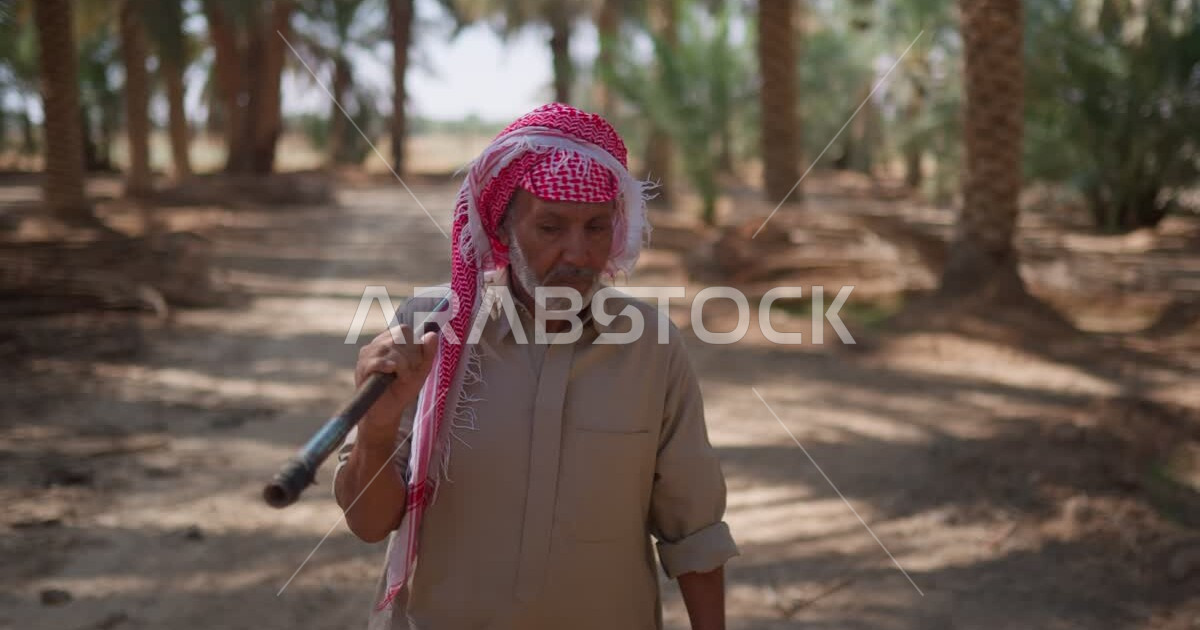 The role of Saudi farmers in preserving agricultural heritage and local ...