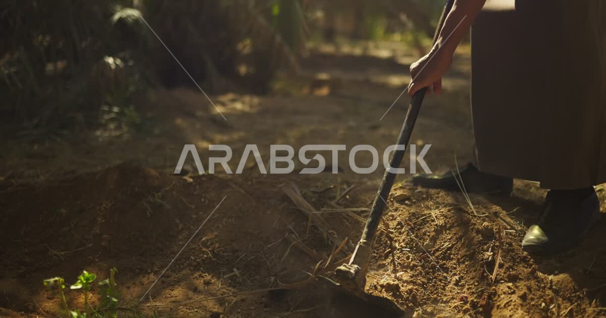 National products and crops, expressions of effort and fatigue during ...