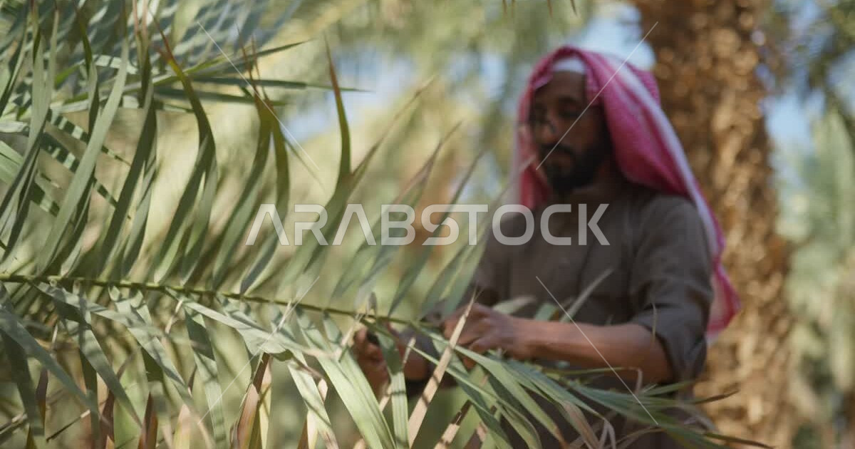 The concept of the agricultural and farming profession, national crops ...
