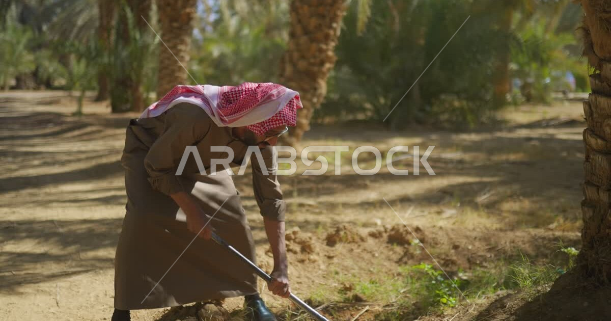 The role of Saudi farmers in preserving agricultural heritage and local ...