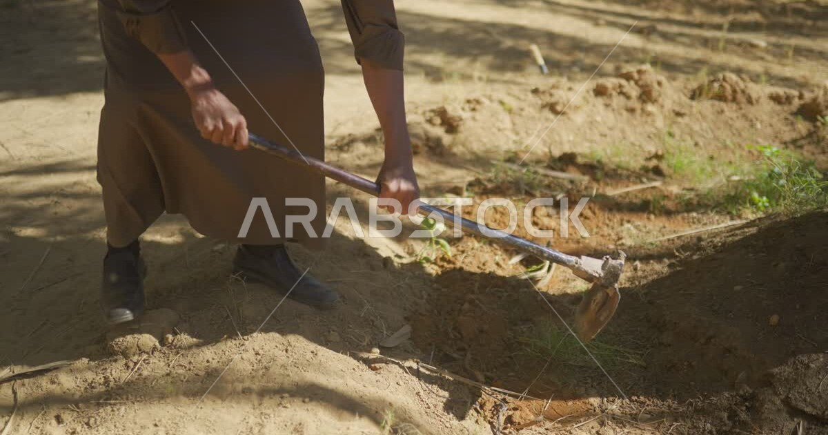 Stirring the soil using a drilling tool, the role of Saudi farmers in ...