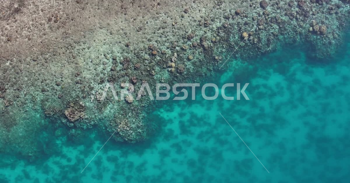 Coastal tourist attractions in the city of Jeddah, distinctive ...