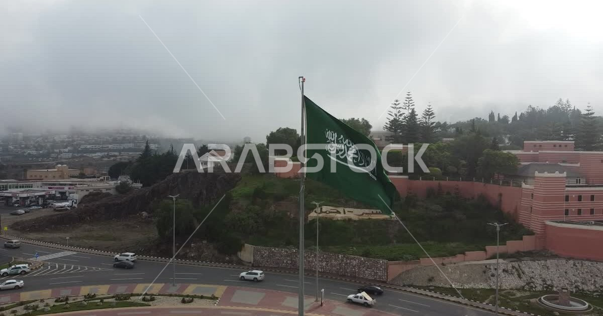 Commemoration of Flag Day, March 11, aerial drone photography of the ...