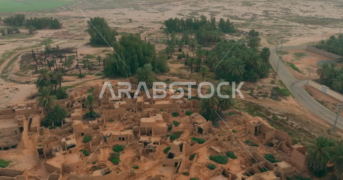 Green palm trees in the daytime, aerial drone photography of the ...