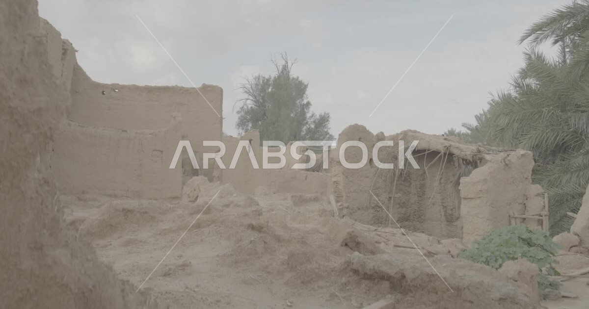 The winter atmosphere over palm plantations in agricultural areas, the ...