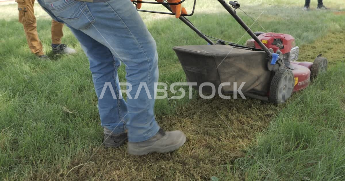 Shortening plants and getting rid of harmful leaves, large areas of ...