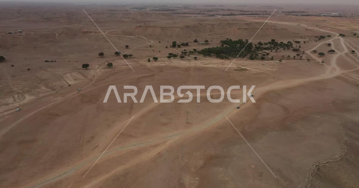 The growth of wild plants and trees in the prairies and desert in the ...