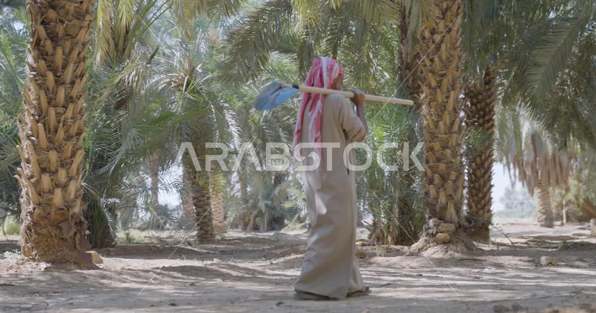 The season of agriculture and harvesting, the use of farms for ...