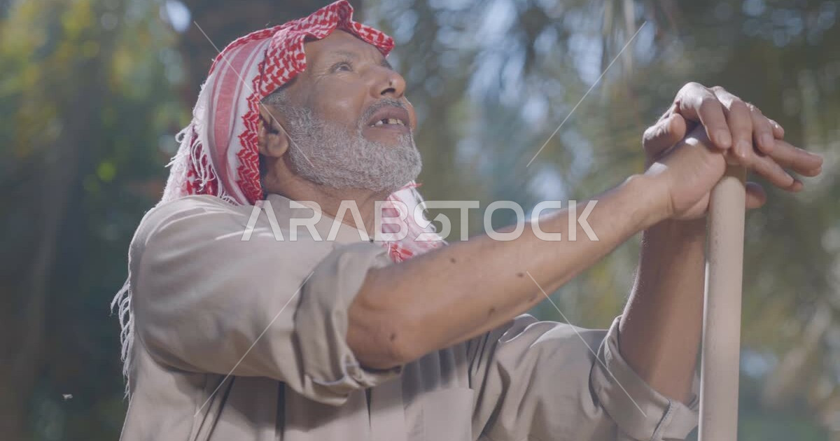 Farms of the Kingdom of Saudi Arabia, a close-up depiction of a Saudi ...