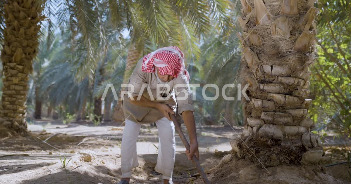 Working in cultivating the lands with diligence and determination ...