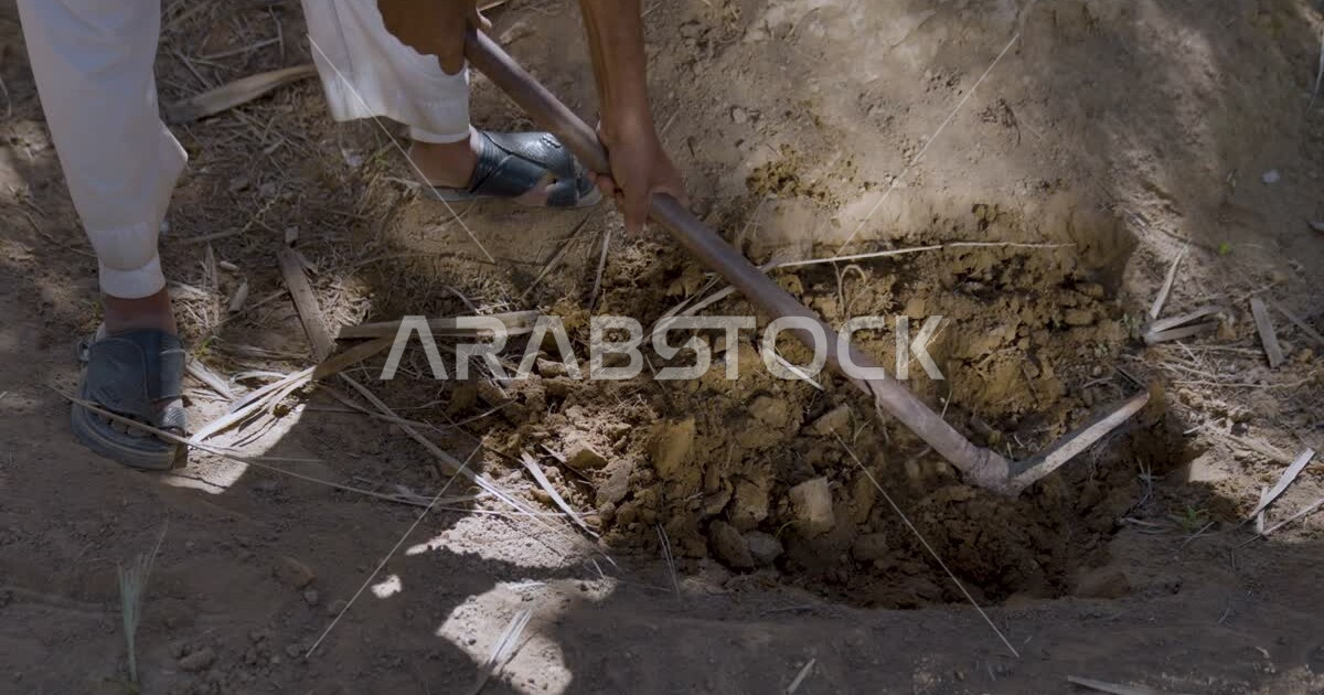 The role of farmers in caring for farms in Saudi Arabia, preserving ...