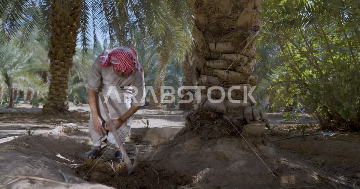 Farming and agriculture and its importance in society, the role of ...