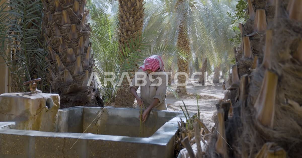 Old traditional irrigation equipment, an elderly Saudi Gulf Arab farmer ...