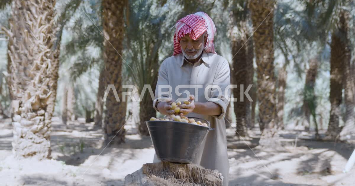 The bounties and fruits of the Kingdom of Saudi Arabia, an elderly ...