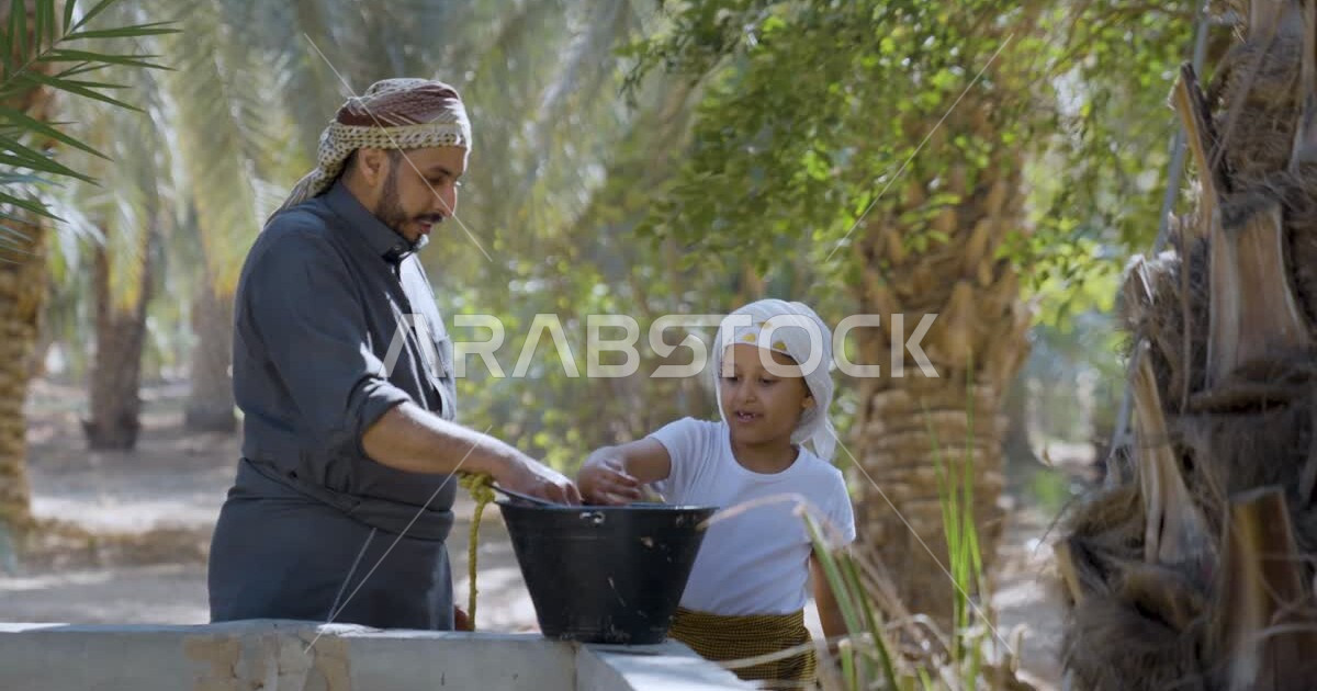 Irrigating and watering agricultural crops, a Saudi Arabian Gulf farmer ...